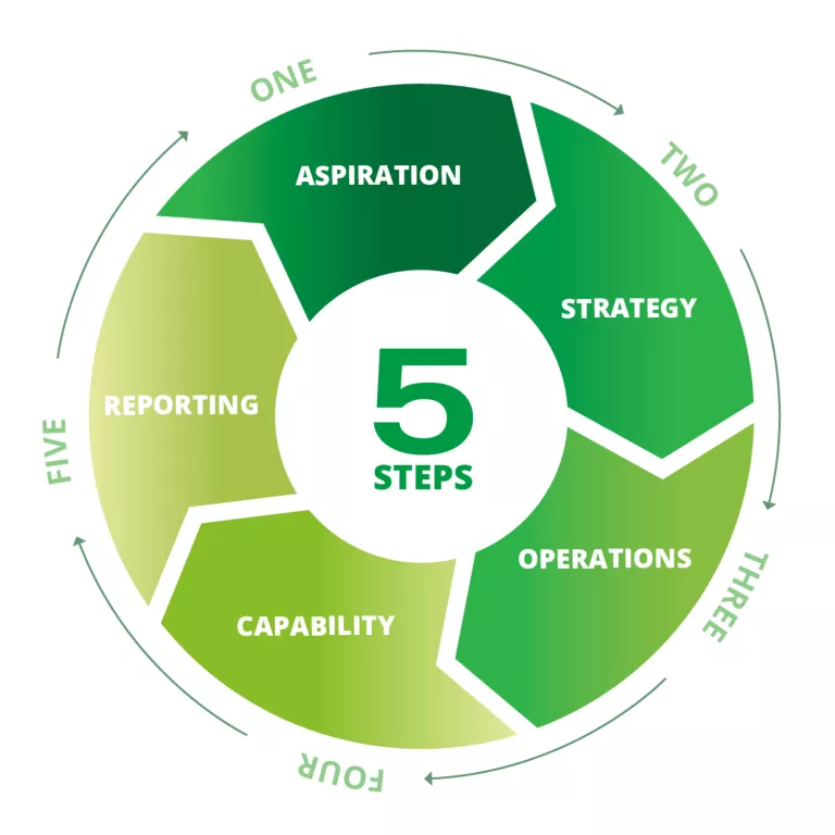 Accelerate to zero: The five-step climate-led transformation framework