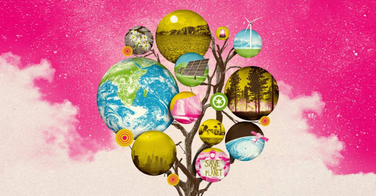 Climate Change 101 for business leaders | Deloitte