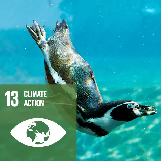 Deloitte Foundation | Deloitte Luxembourg