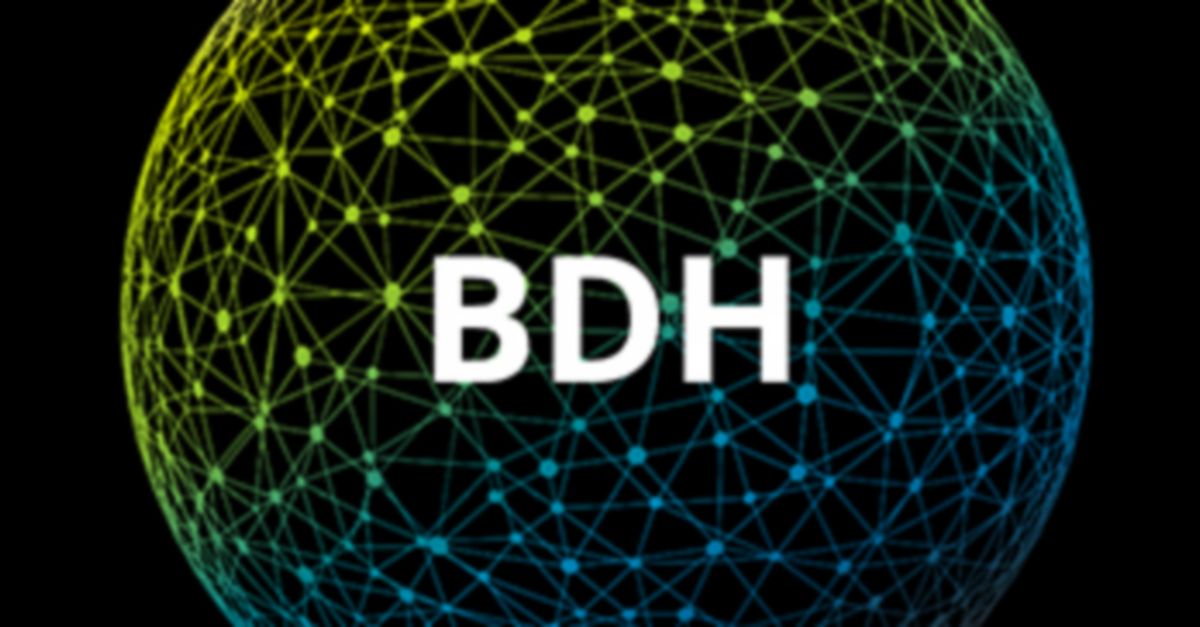 Deloitte lanza en España la Plataforma Business Digital Hub – BDH