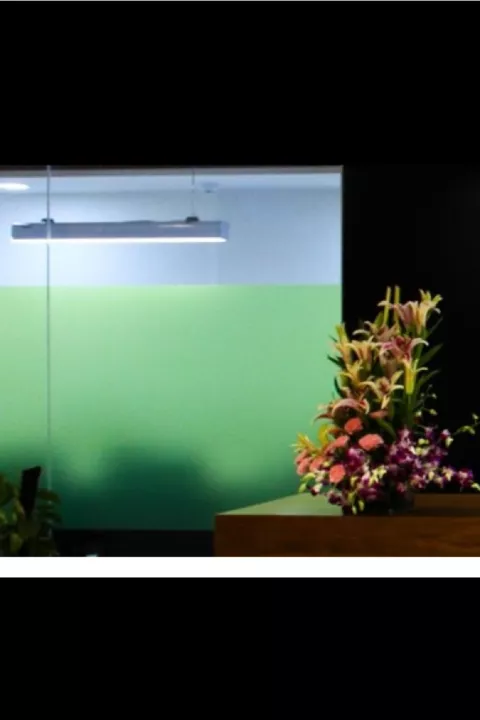 About Deloitte in Namibia | Our Partners