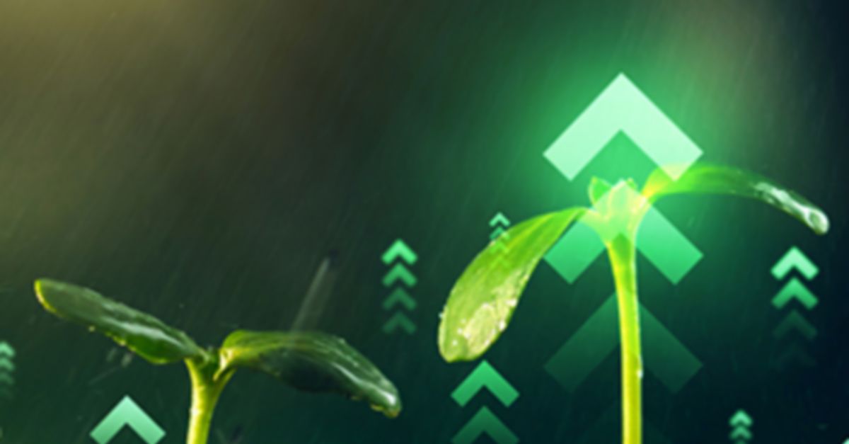 Enhancing Investment Stewardship | Deloitte Luxembourg | Performance ...