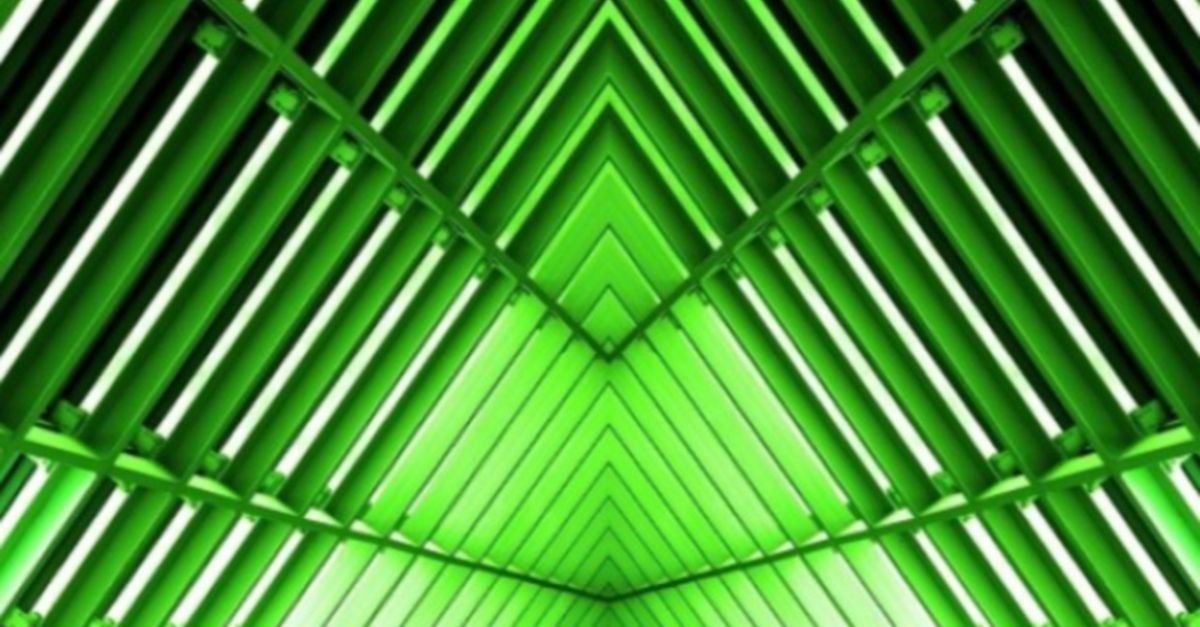 Payroll Incentives | Deloitte Belgium | Tax