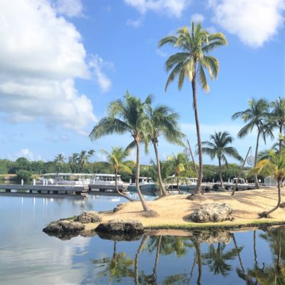 We want you to become part of Deloitte Cayman Islands