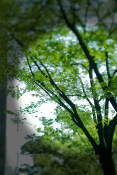 Internal carbon pricing | Deloitte UK