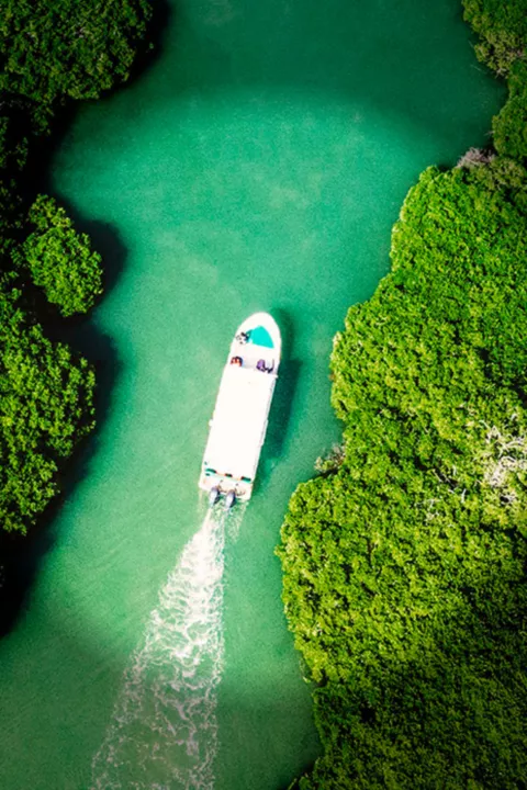 Carbon offsetting | Deloitte UK