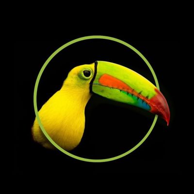 Deloitte | Audit, Consulting, Financial, Risk Management, Tax Services