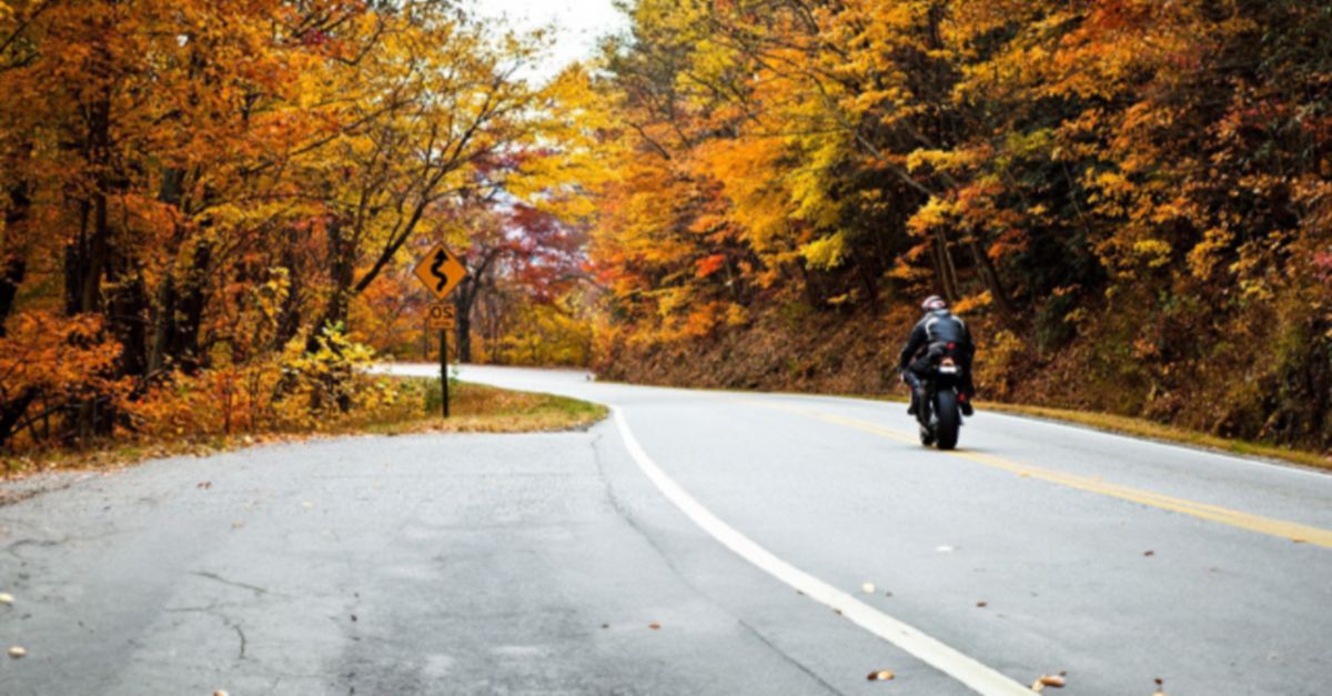 Riding motorcycles towards a more sustainable future | ACEM | Deloitte ...