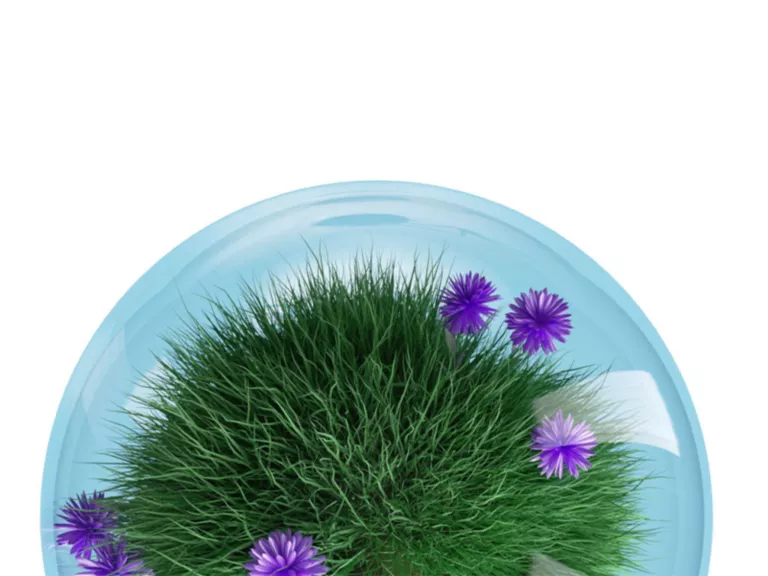 Global Adobe Alliance | Deloitte