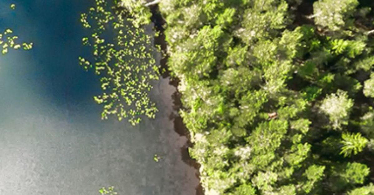 AI for Earth observation | Climate | Deloitte