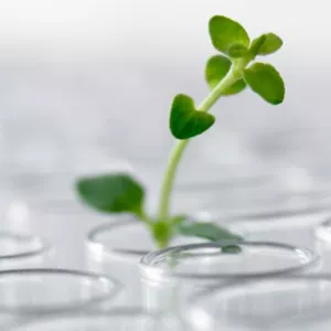 Learning & Development | Deloitte Australia | Careers