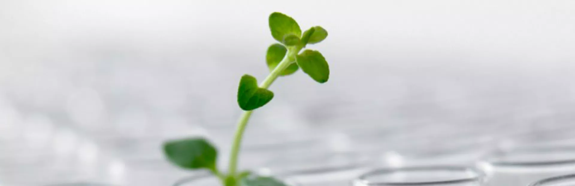 Learning & Development | Deloitte Australia | Careers