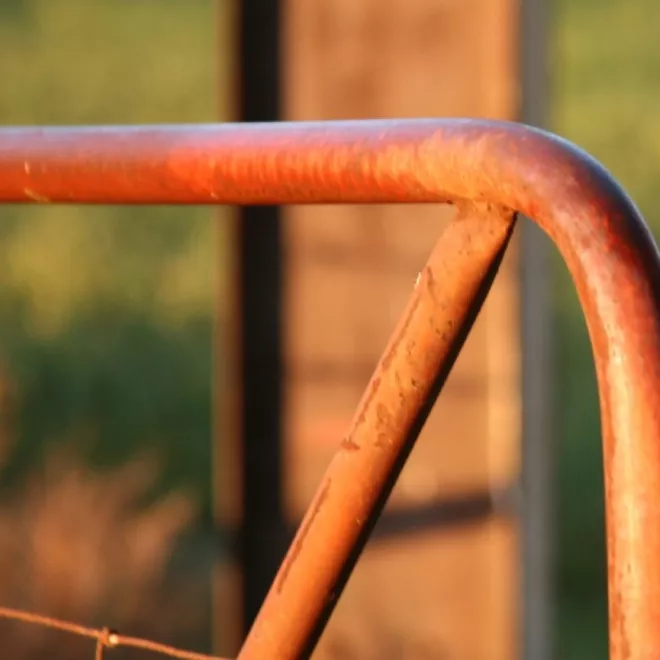 Deloitte Integrity and First Nations | Deloitte Australia | Deloitte ...