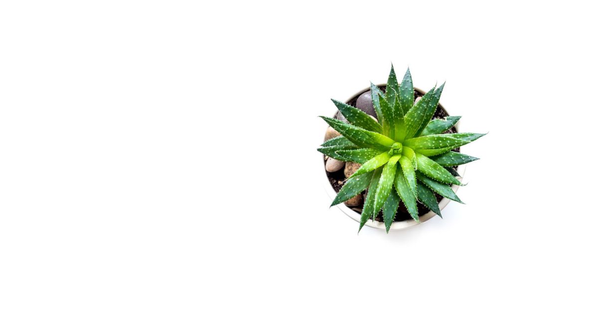 Growth strategy - Private Equity | Deloitte Australia