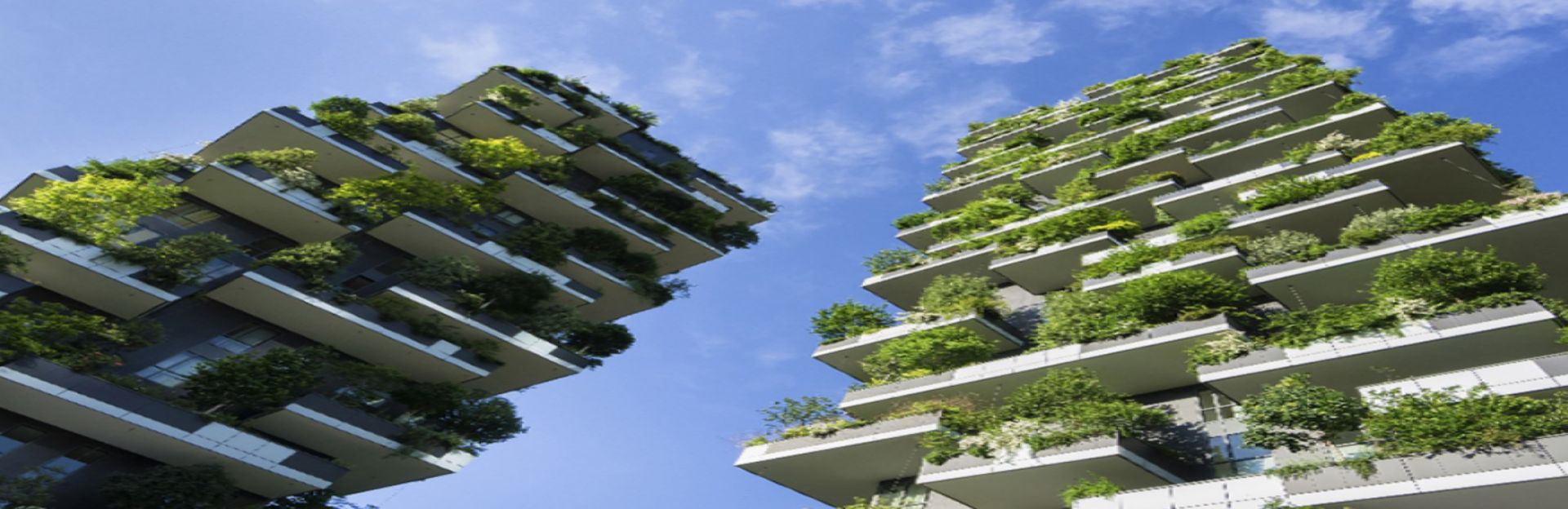 Climate Change 101 for business leaders | Deloitte Australia | Economics