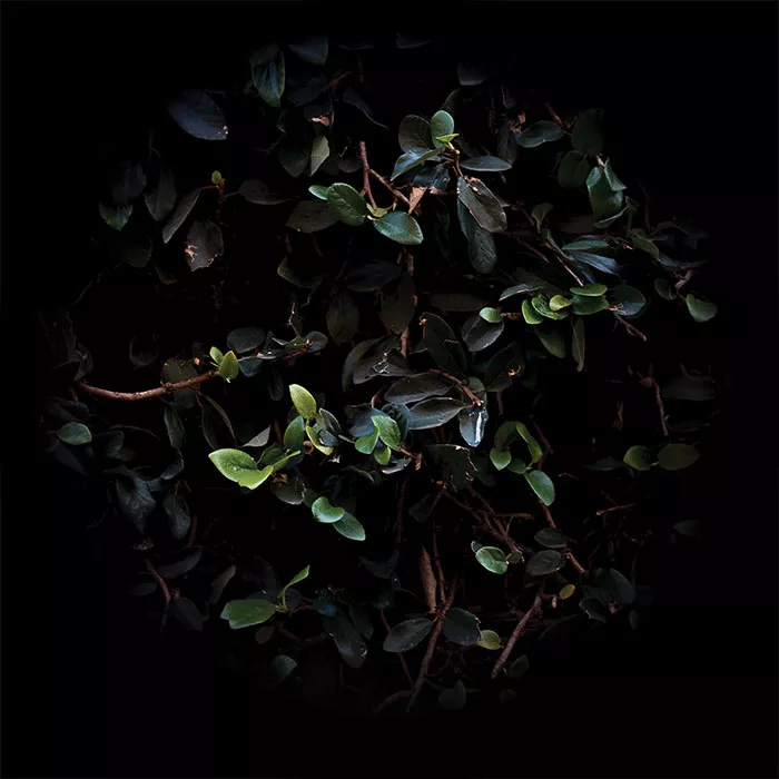 Deloitte Access Economics publications | Deloitte Australia