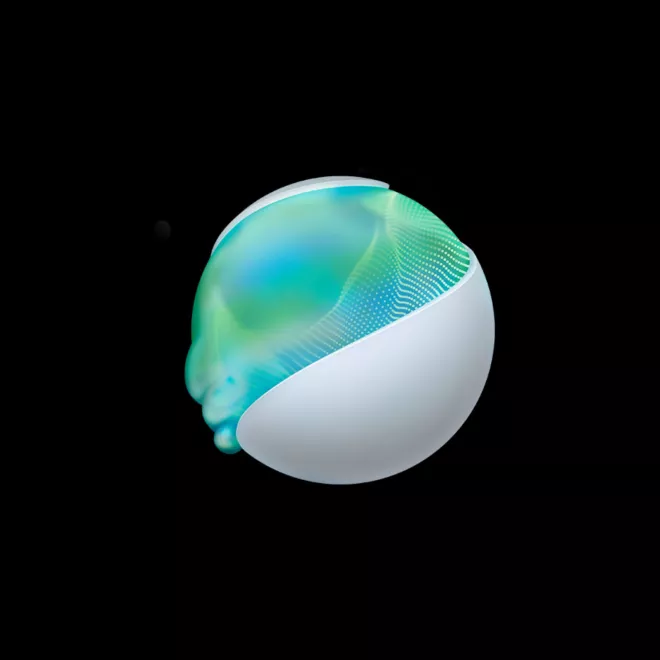 Deloitte’s Technology Risk Management Framework