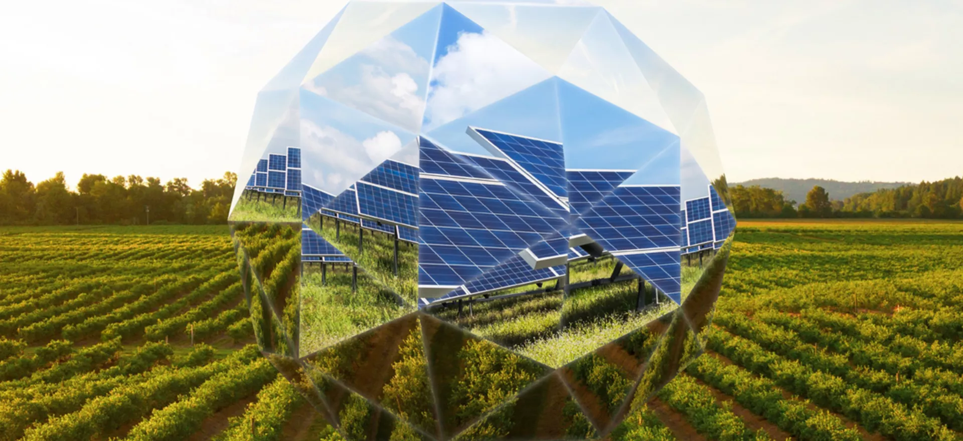 Deloitte Australia Climate Charter | Deloitte Australia