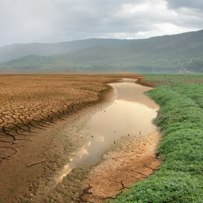 Autonomous adaptation: how individuals are taking climate resilience ...