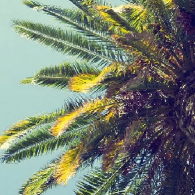 CBC Student Experience Hub | Deloitte Caribbean and Bermuda