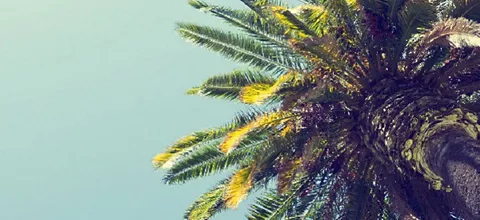 CBC Student Experience Hub | Deloitte Caribbean and Bermuda