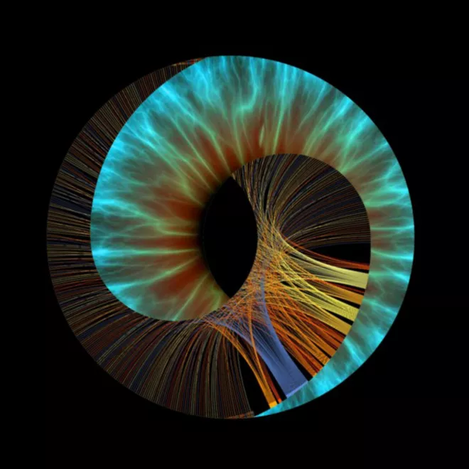 Sustainability & Climate | Deloitte Belgium | Tax