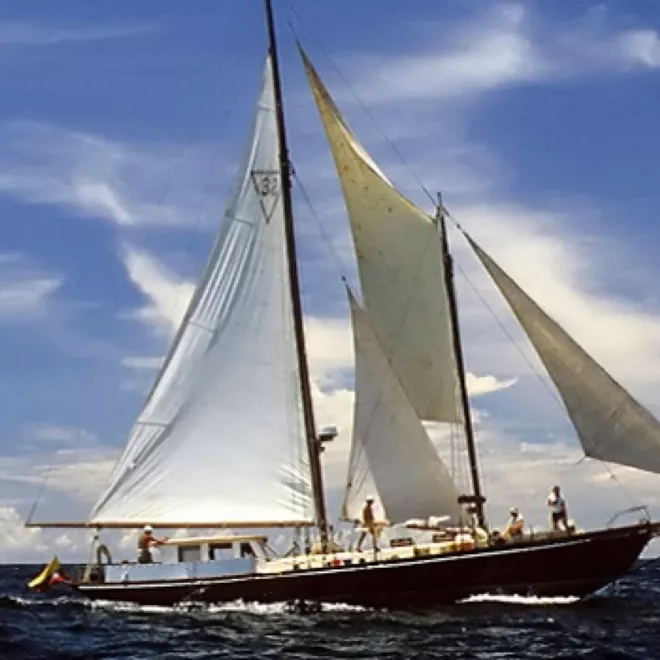 Meet the partners at Deloitte Bermuda