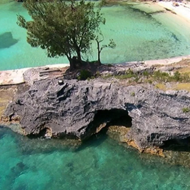 Meet the partners at Deloitte Bermuda