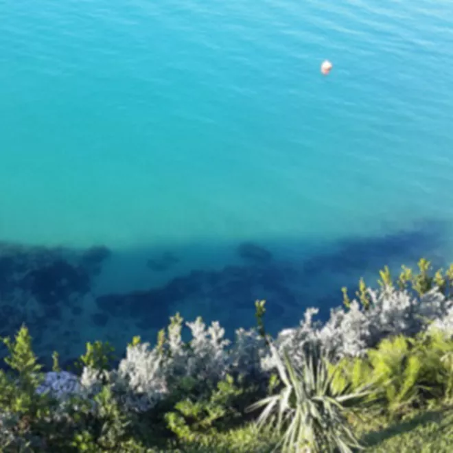 CBC Experienced Hires Hub | Deloitte Caribbean and Bermuda