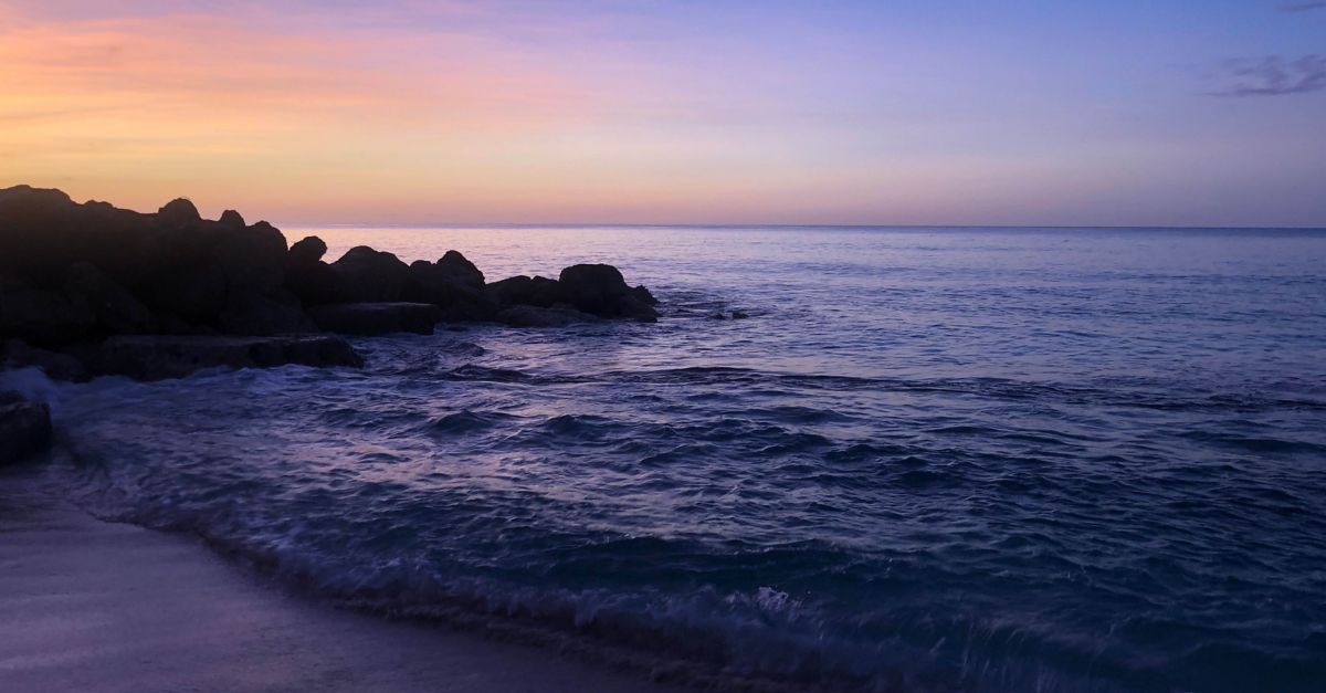 Explore Deloitte Bahamas | Deloitte Bahamas | Content Filter