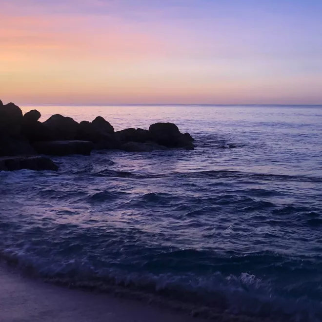 The Deloitte Bahamas Leadership team