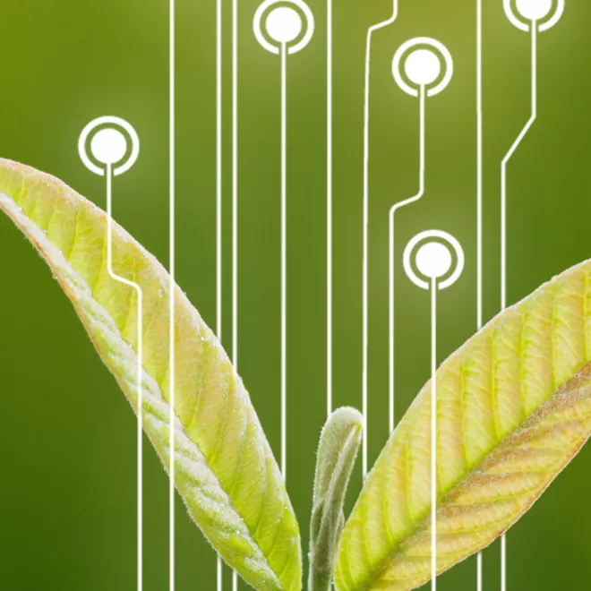 Deloitte cloud solutions| Deloitte Ireland