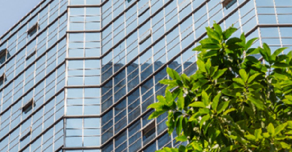 Loyal Bank Liquidation | Deloitte Barbados