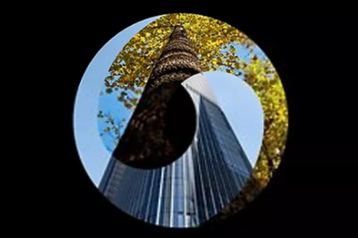 Global ESG highlights | 2022 Global Impact Report | Deloitte Global