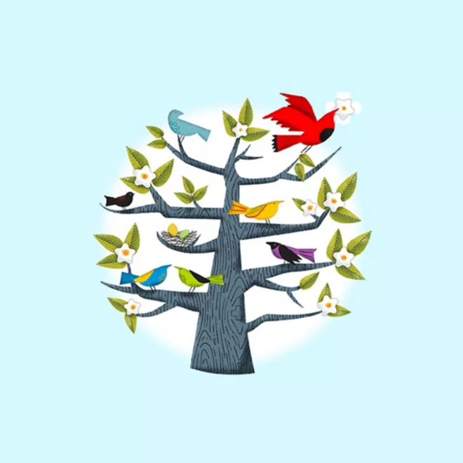 Health Care | Deloitte Global