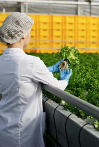 WorldClimate | Deloitte | About Deloitte