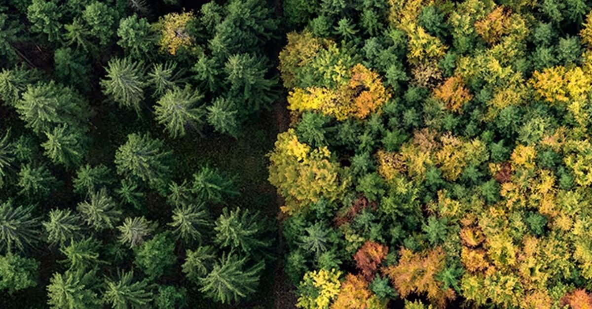 Optimal Reality Digital Twin | Deloitte Australia