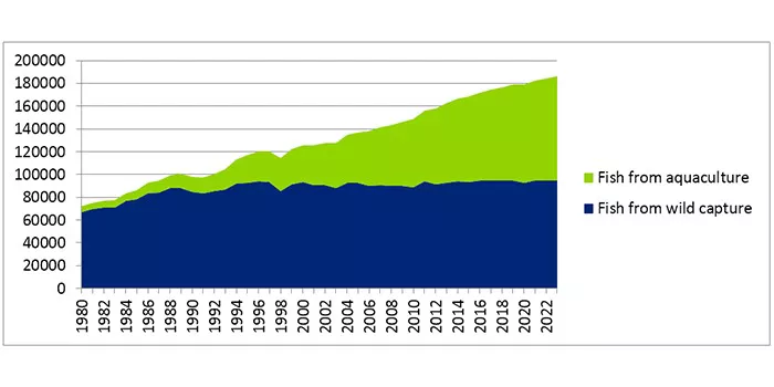 The growth of global aquaculture - Fishy business | Deloitte Australia ...