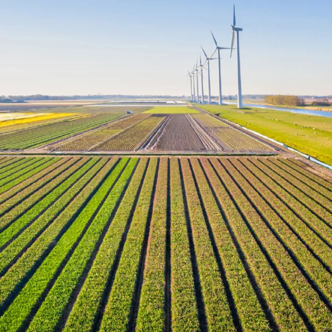 Future of Food | Deloitte Global