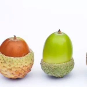 About Deloitte in Namibia | Our staff