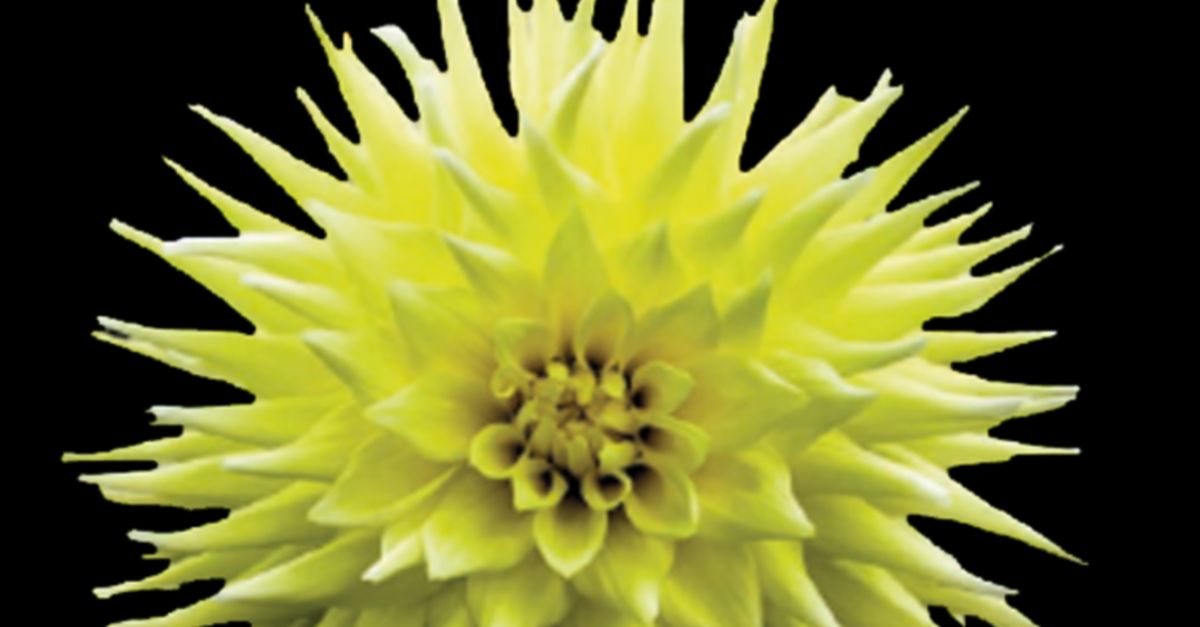 Conferences and virtual events | Deloitte UK