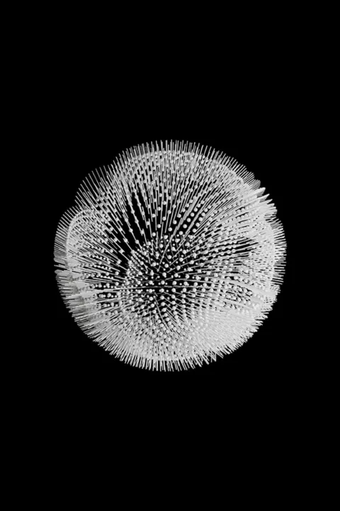 Key Changes within APRA’s Final CPS 230 Standard | Deloitte Australia