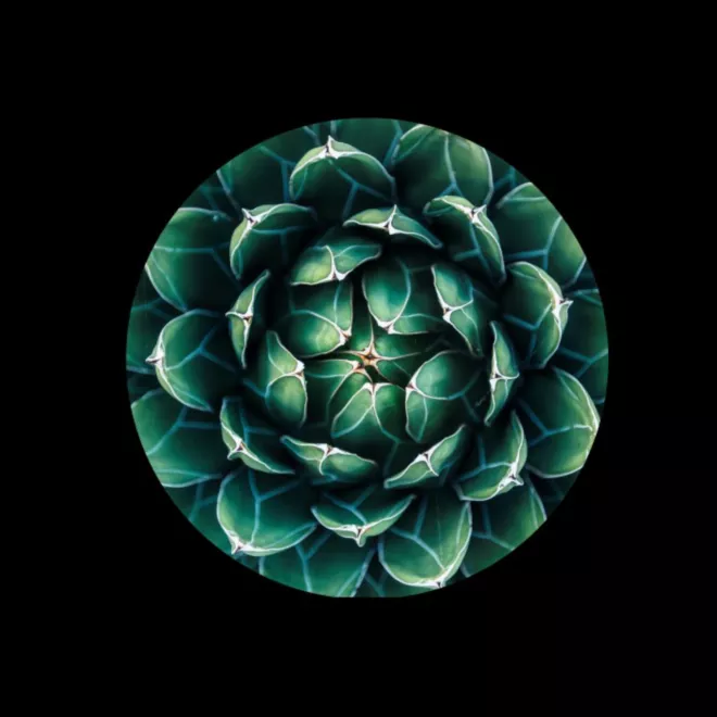 The Role of Compliance in ESG | Deloitte Netherlands