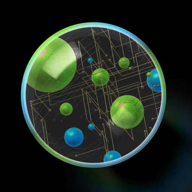 NL GAAP Focus | Deloitte Netherlands