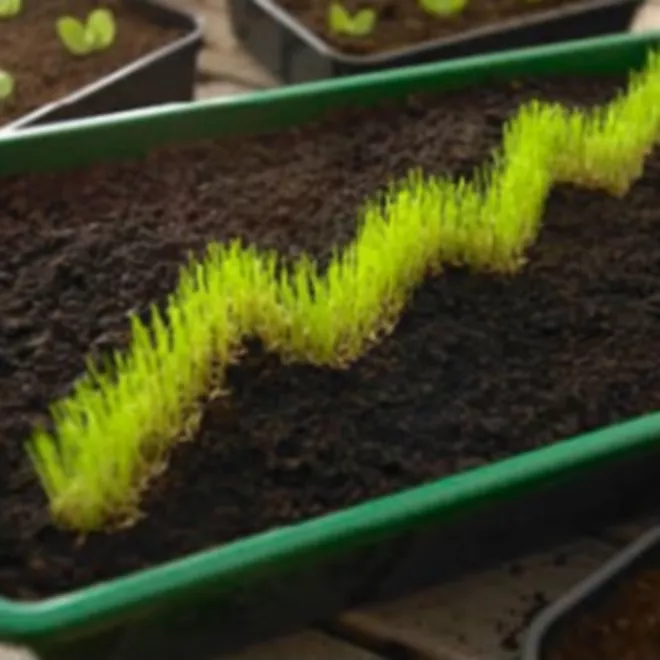 IFRS and NL GAAP | Deloitte Netherlands