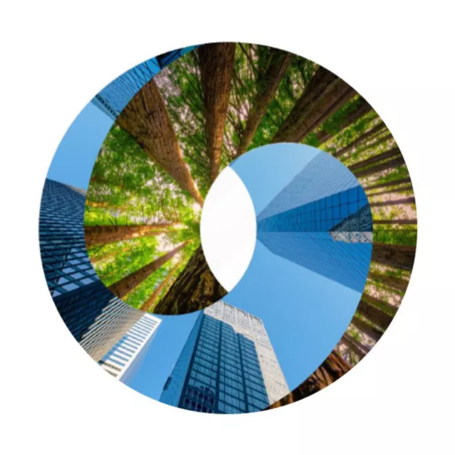 A practical approach to assess financial materiality | Deloitte Netherlands