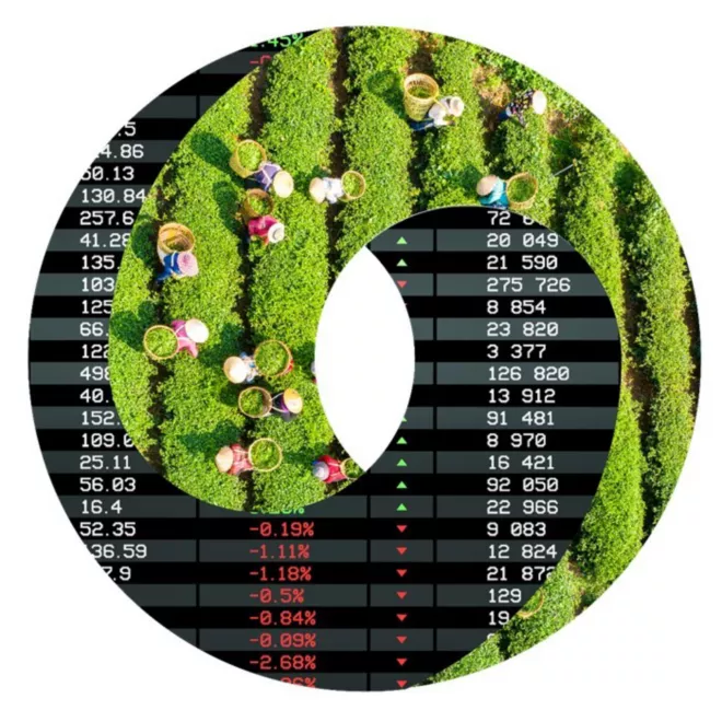 Implementation of the final EBA Guidelines on IRRBB and CSRBB ...