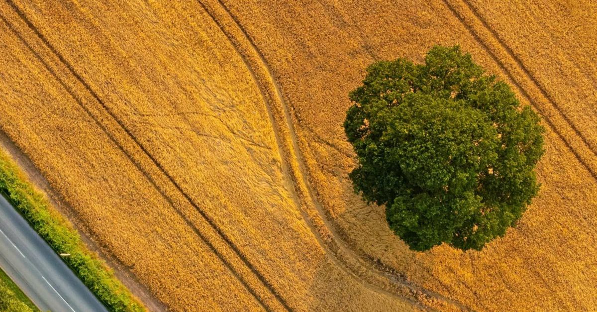 WorldClimate: Working together to take climate action | Deloitte NSE