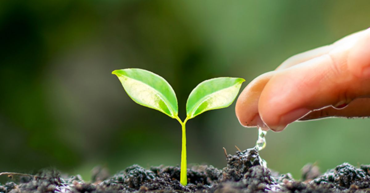 The role of AI in tackling climate change | Deloitte UK