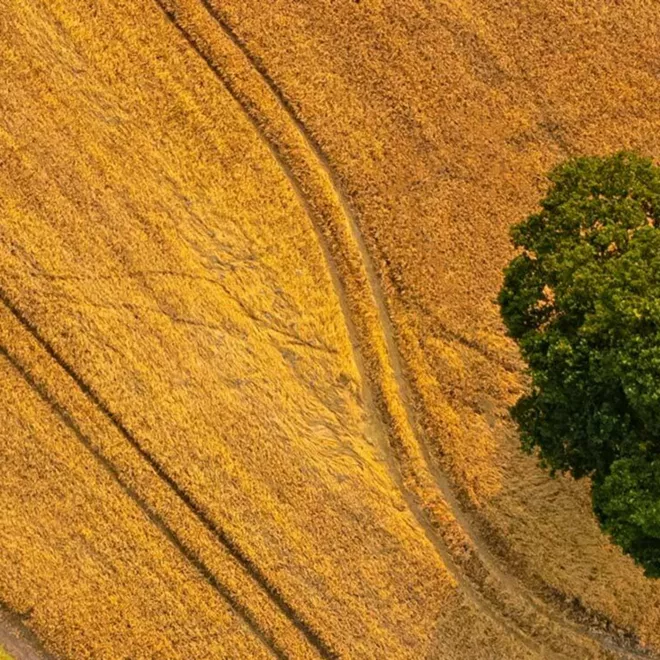 The skills to support Ukraine | Deloitte UK